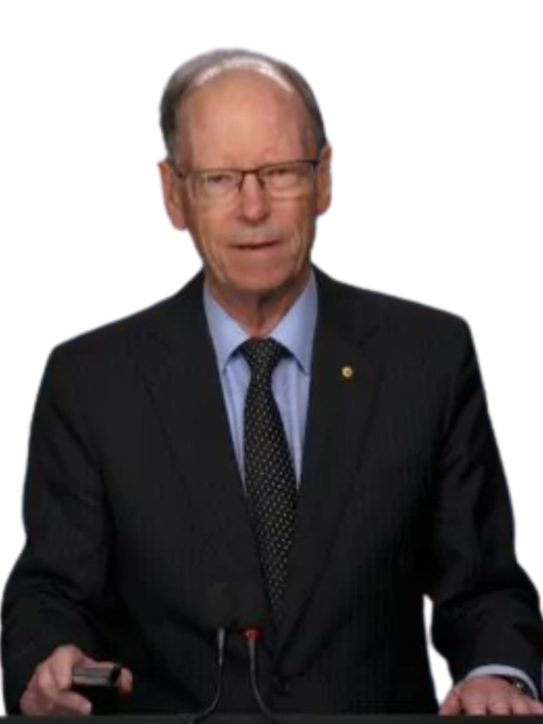 Vision for the IHS - richard4ihs